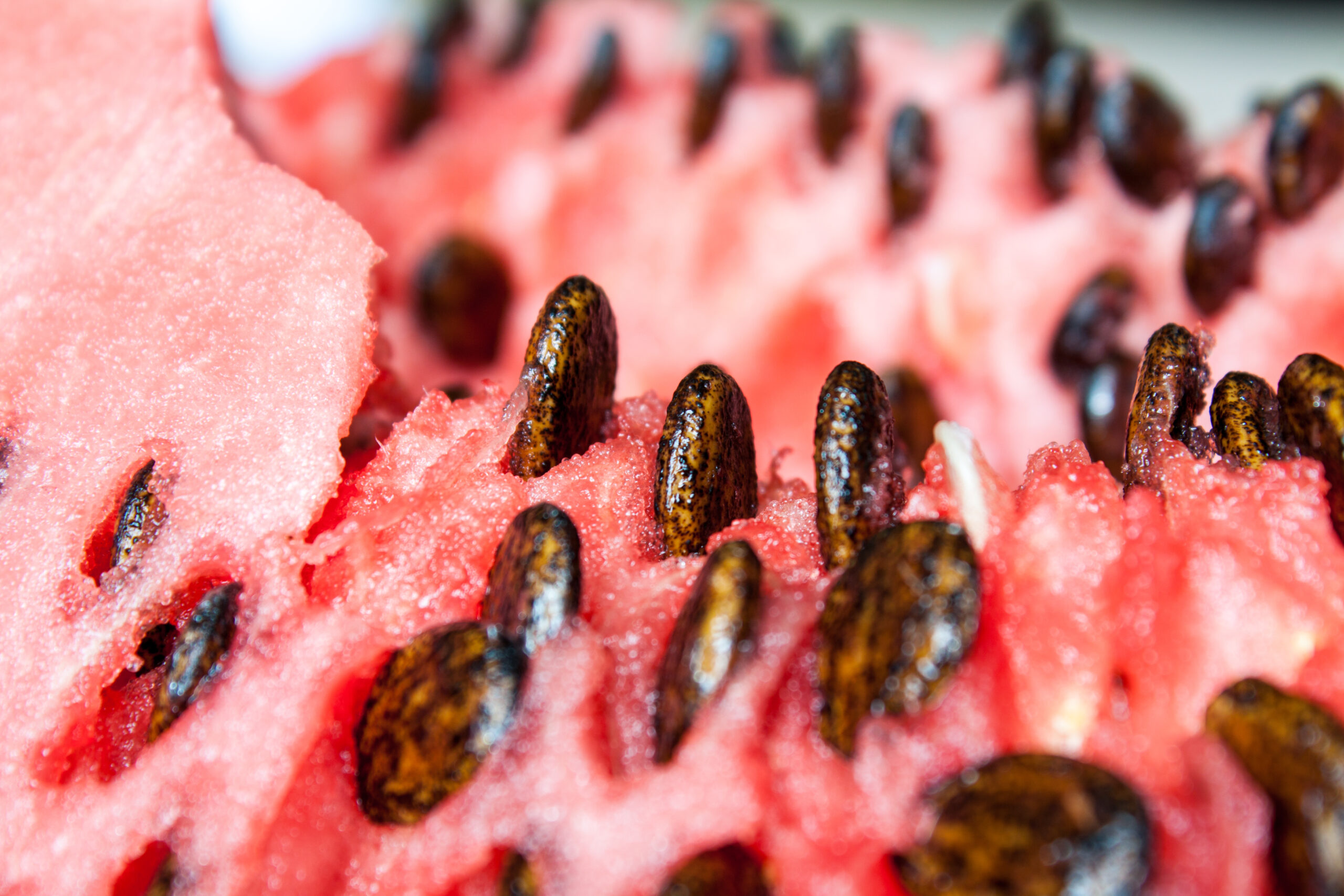 Six of the Best Ways to Enjoy Watermelon Seeds | Blog | C&M Watermelon ...
