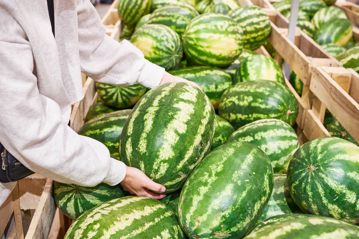 What to Look For in a Watermelon Wholesaler | Blog | CM Watermelons