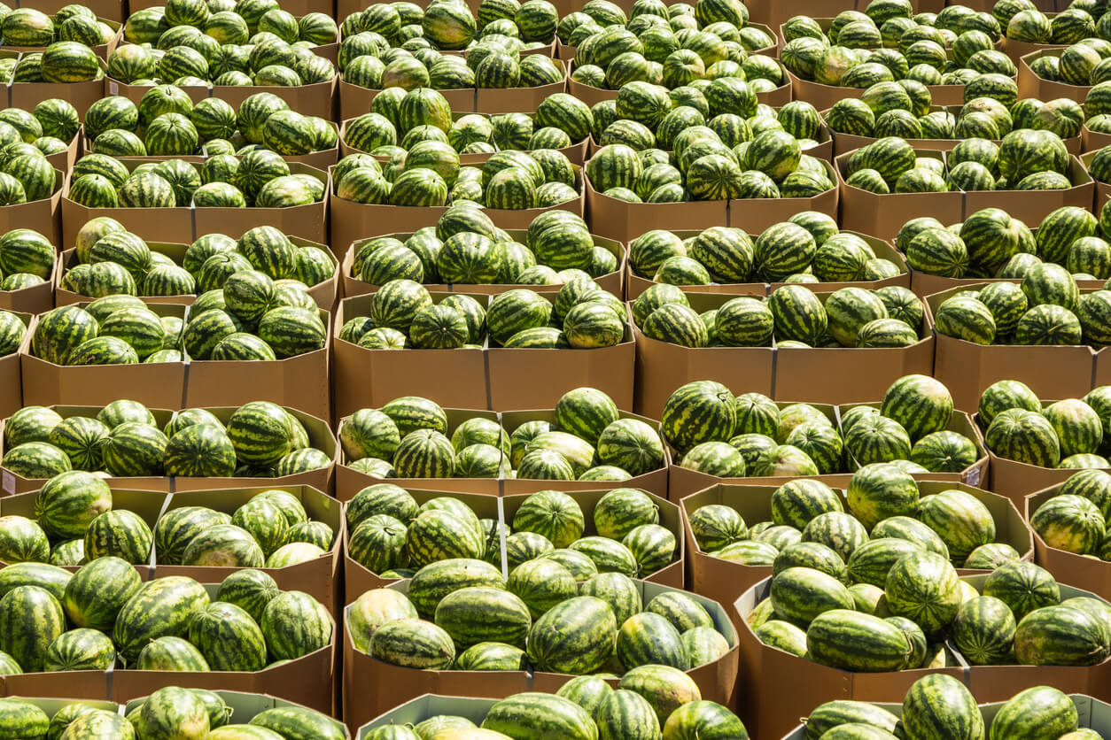 Why Wholesale Fresh Produce Is Vital to the UK Food Industry | Blog | C ...