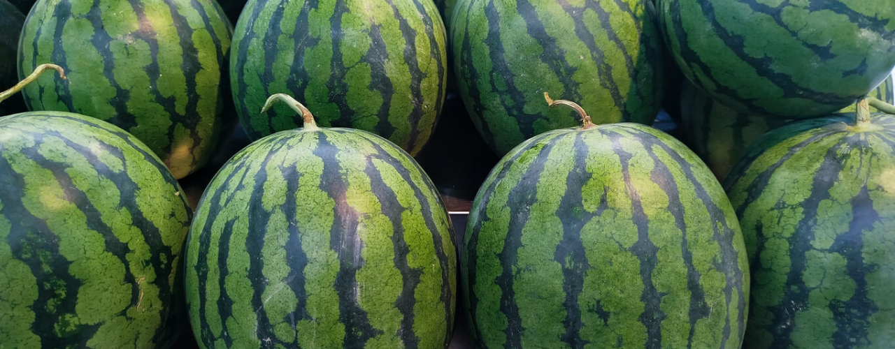 Are Greek Watermelons the Answer to the UK’s Supply Chain Volatility ...